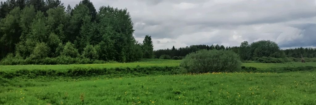 Анастасия Ваниль