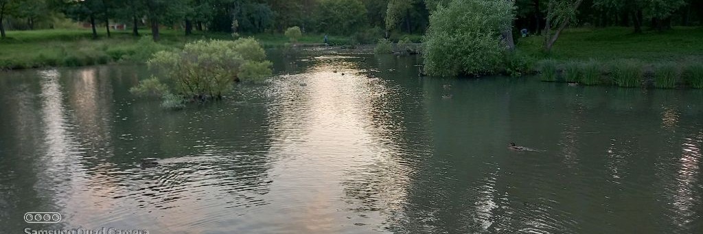 Евгусь из Питера