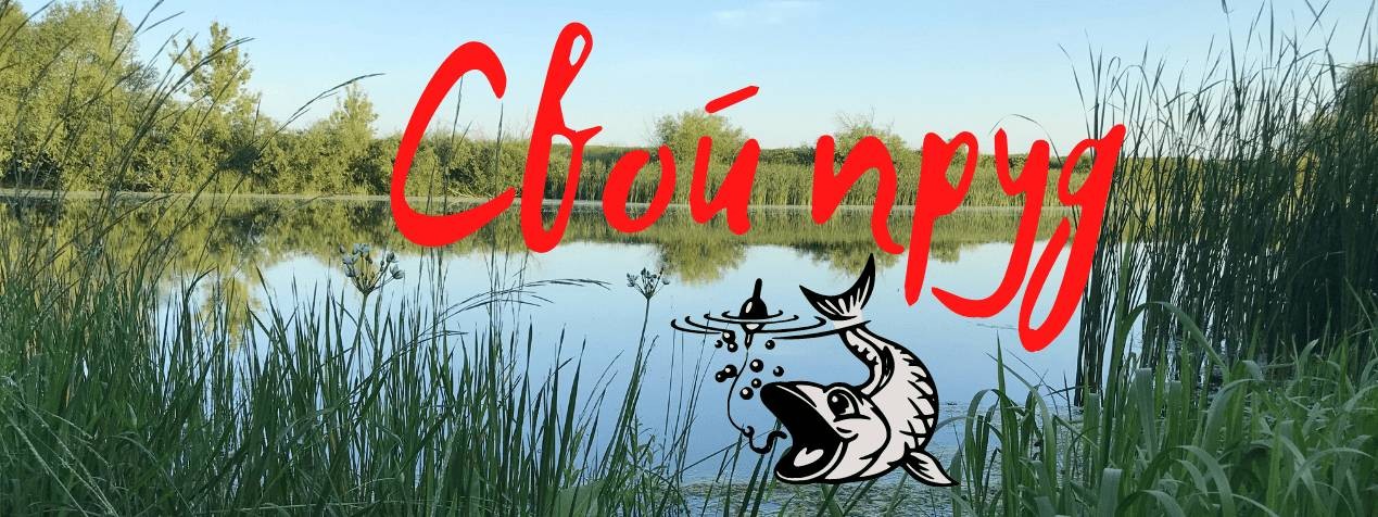 РОЖДЕНИЕ ПРУДА. СВОЙ ПРУД С РЫБОЙ!