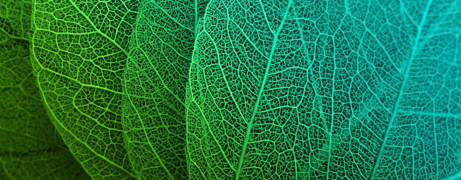 Oks+Alek - путешествия |строительство| handmade