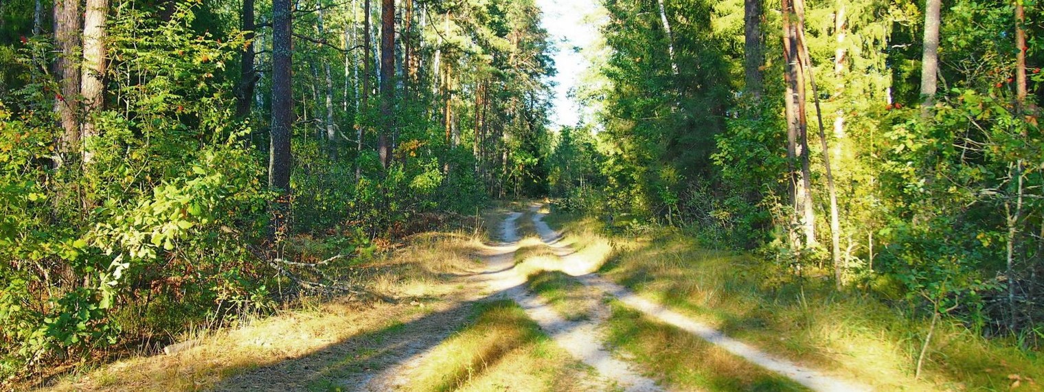 Иван Чудотворцев