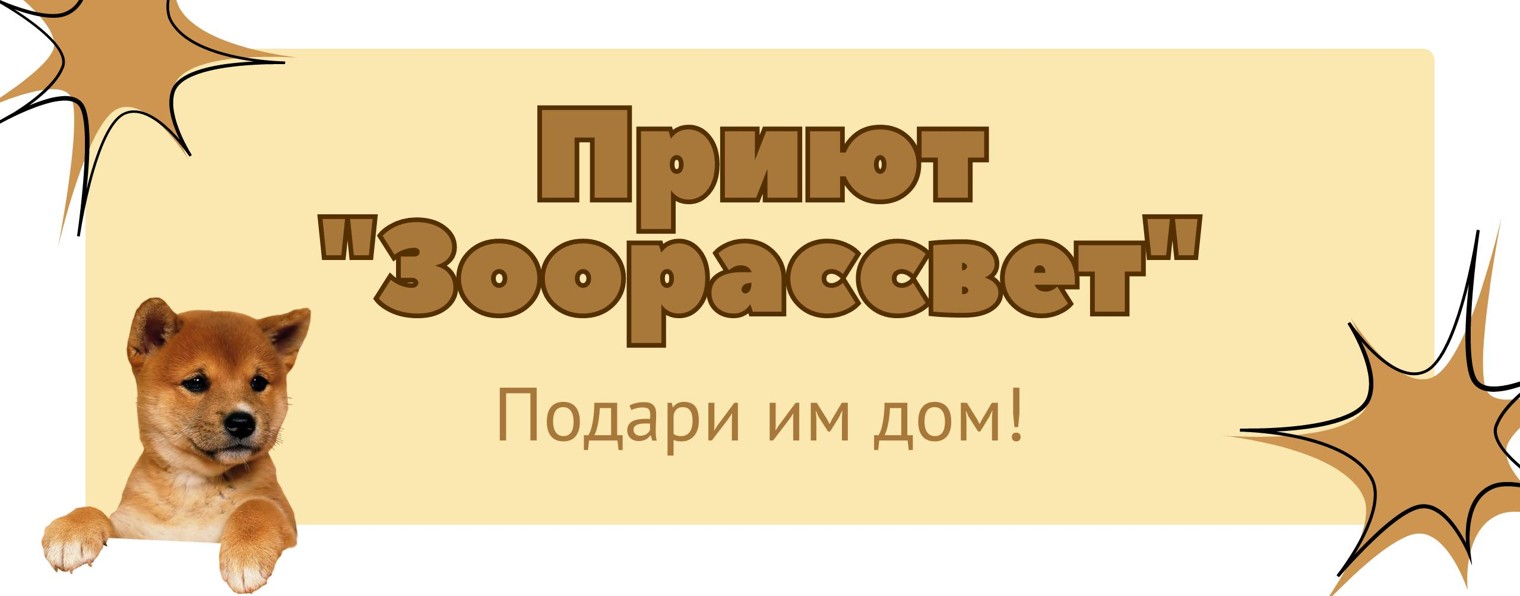 Приют "Зоорассвет"