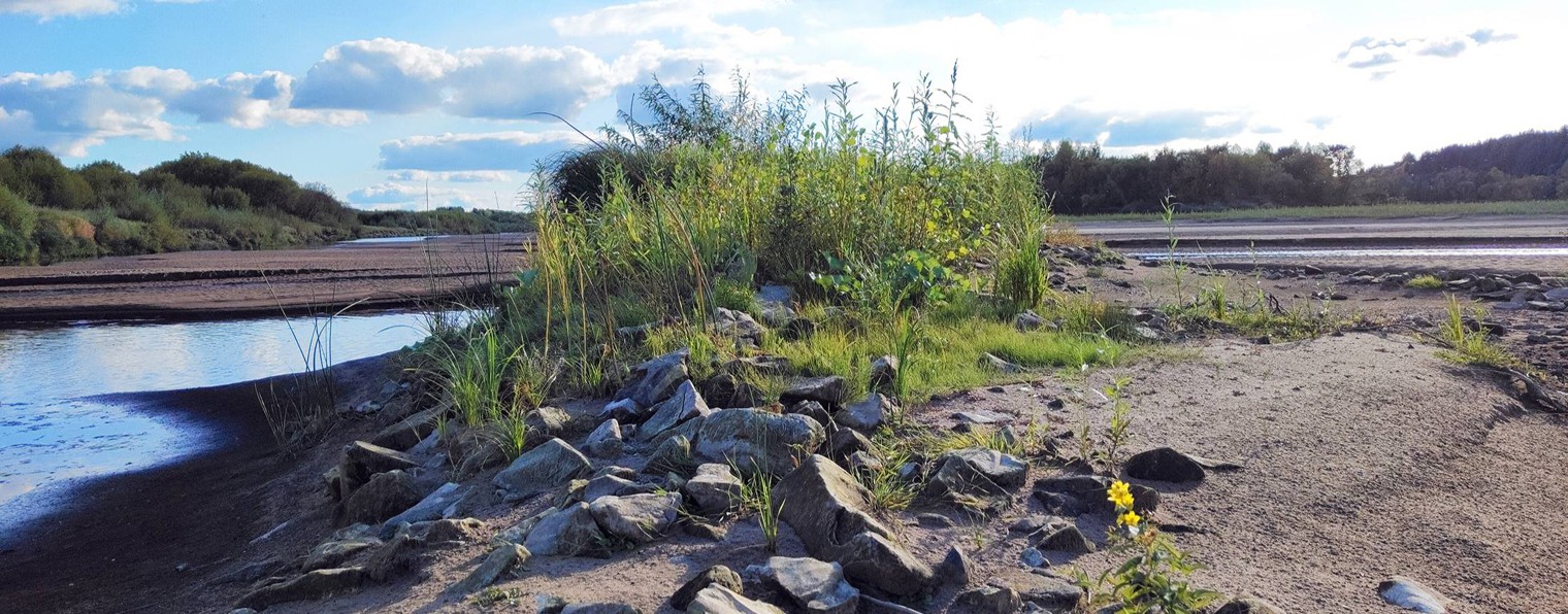 Рыбалка на Вятке