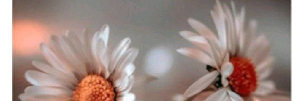 Юлия Ягодка