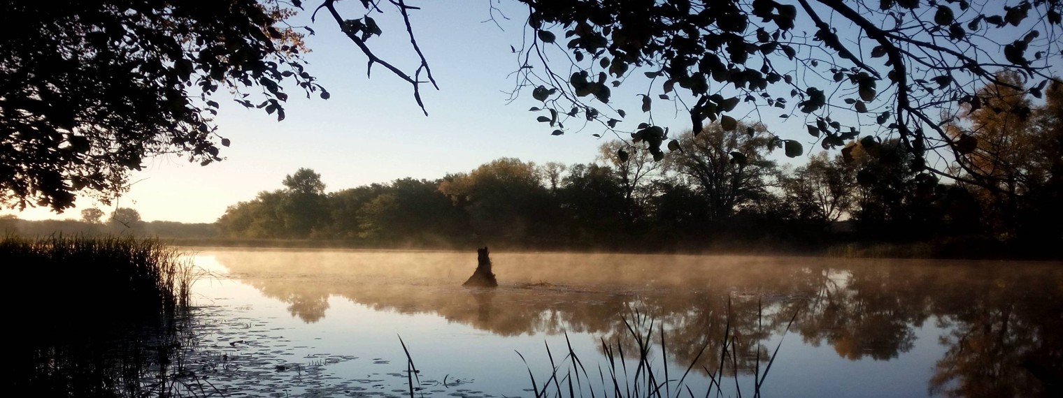 Хроники Романыча