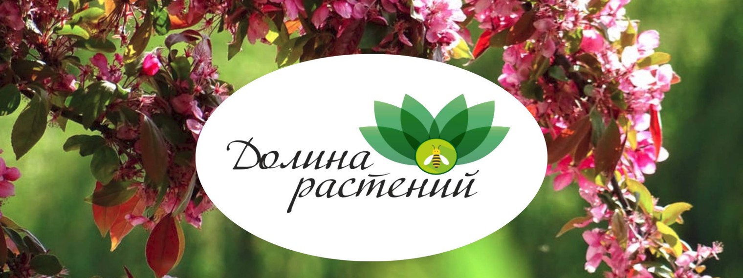 Долина Растений