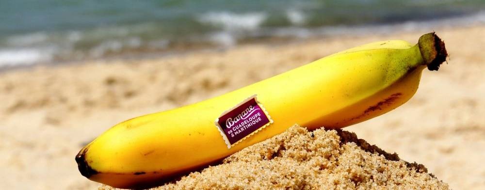 БАНАН | авторский развлекательный блог