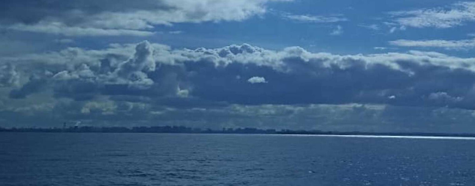 Consulting in Logistics