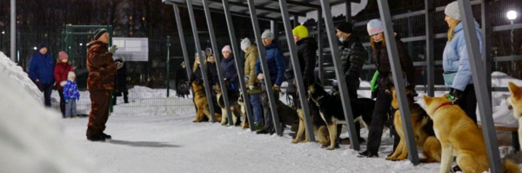 Сергей Дармов кинолог прикладная дрессировка