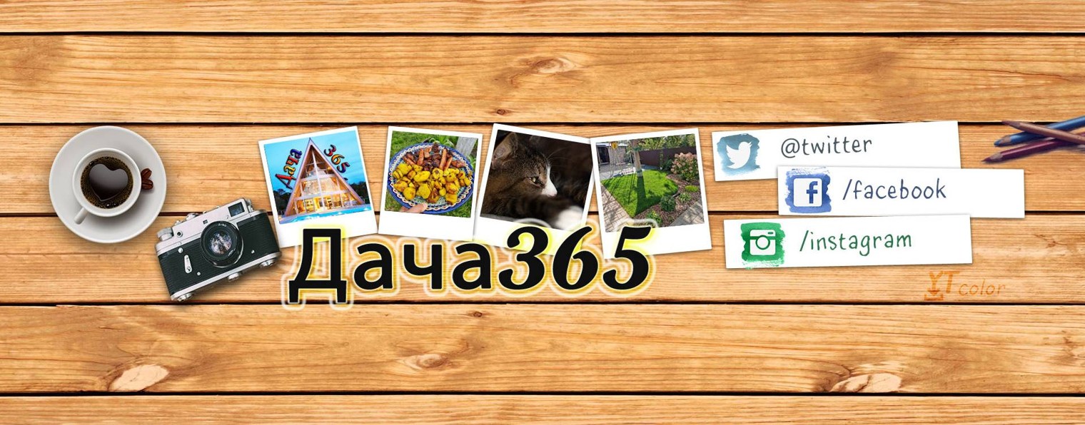 Дача365