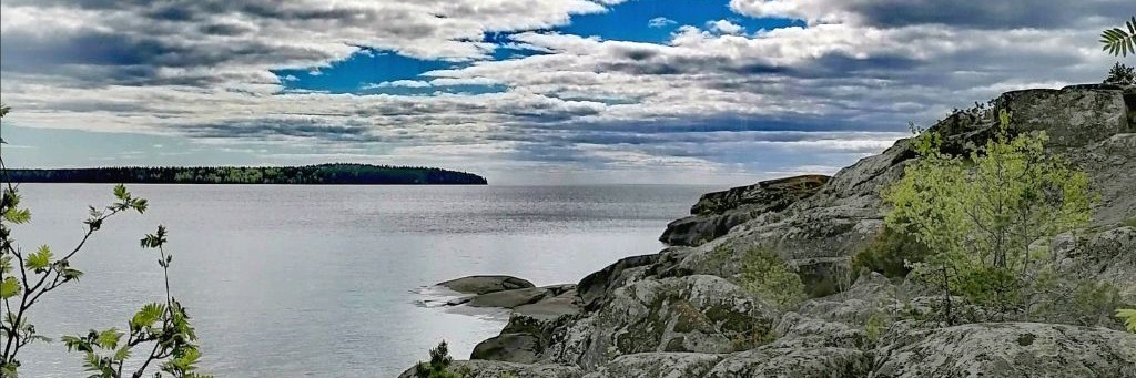 Ли из Карелии