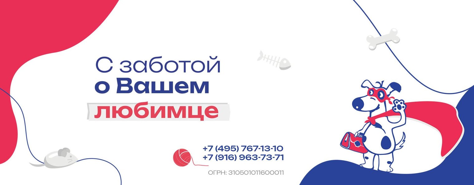 Динго Ветклиника на Дому