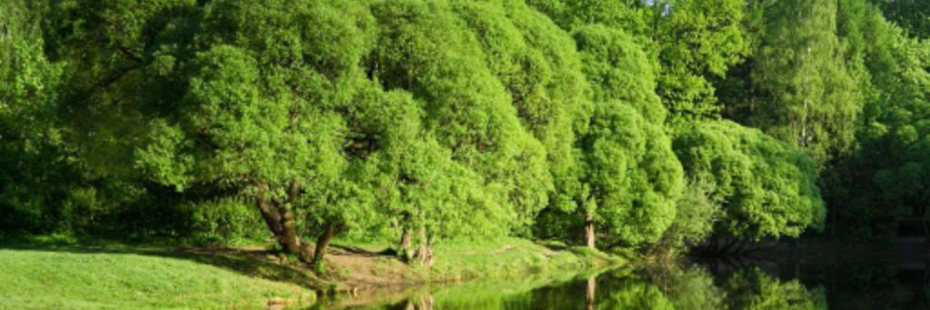 Виктория Щеглова