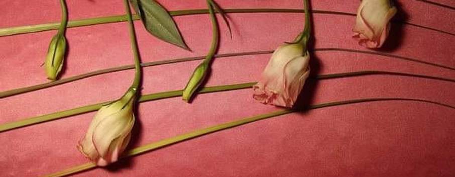 ВЯЧЕСЛАВ  ОЛЬХОВСКИЙ .  Певец.  Баритон.