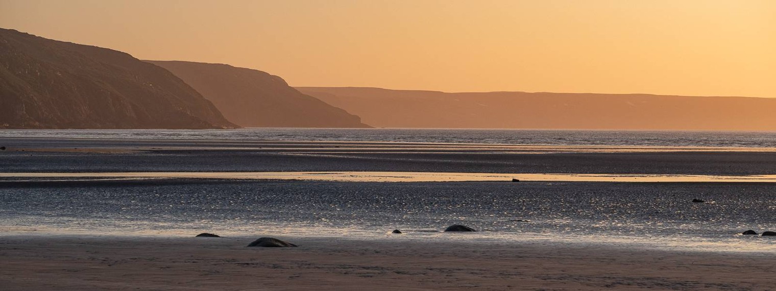 Николай Терентьев