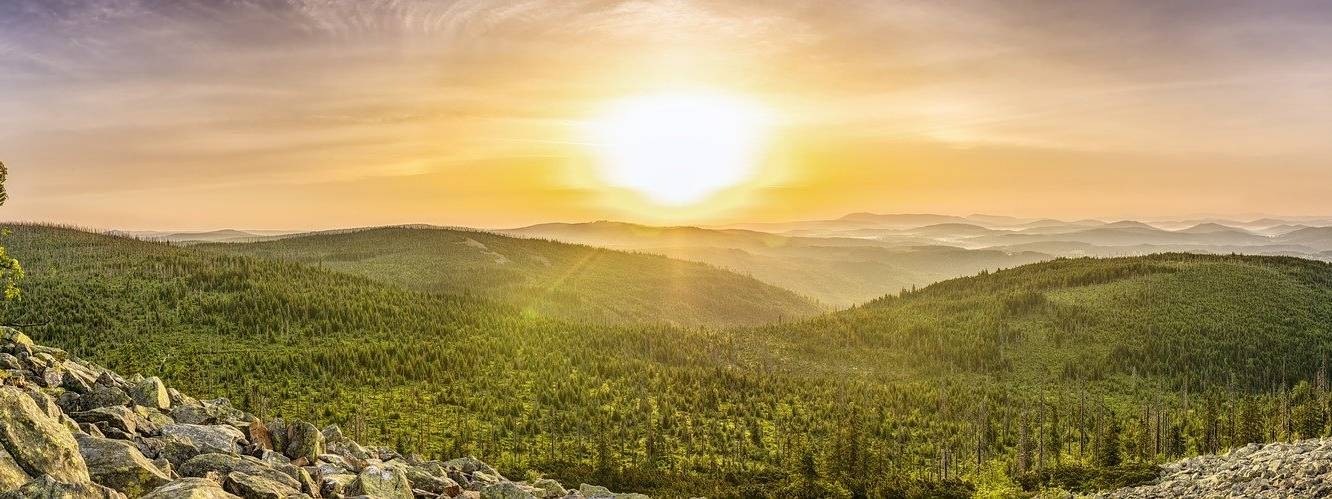 АПЦ РАСсвет