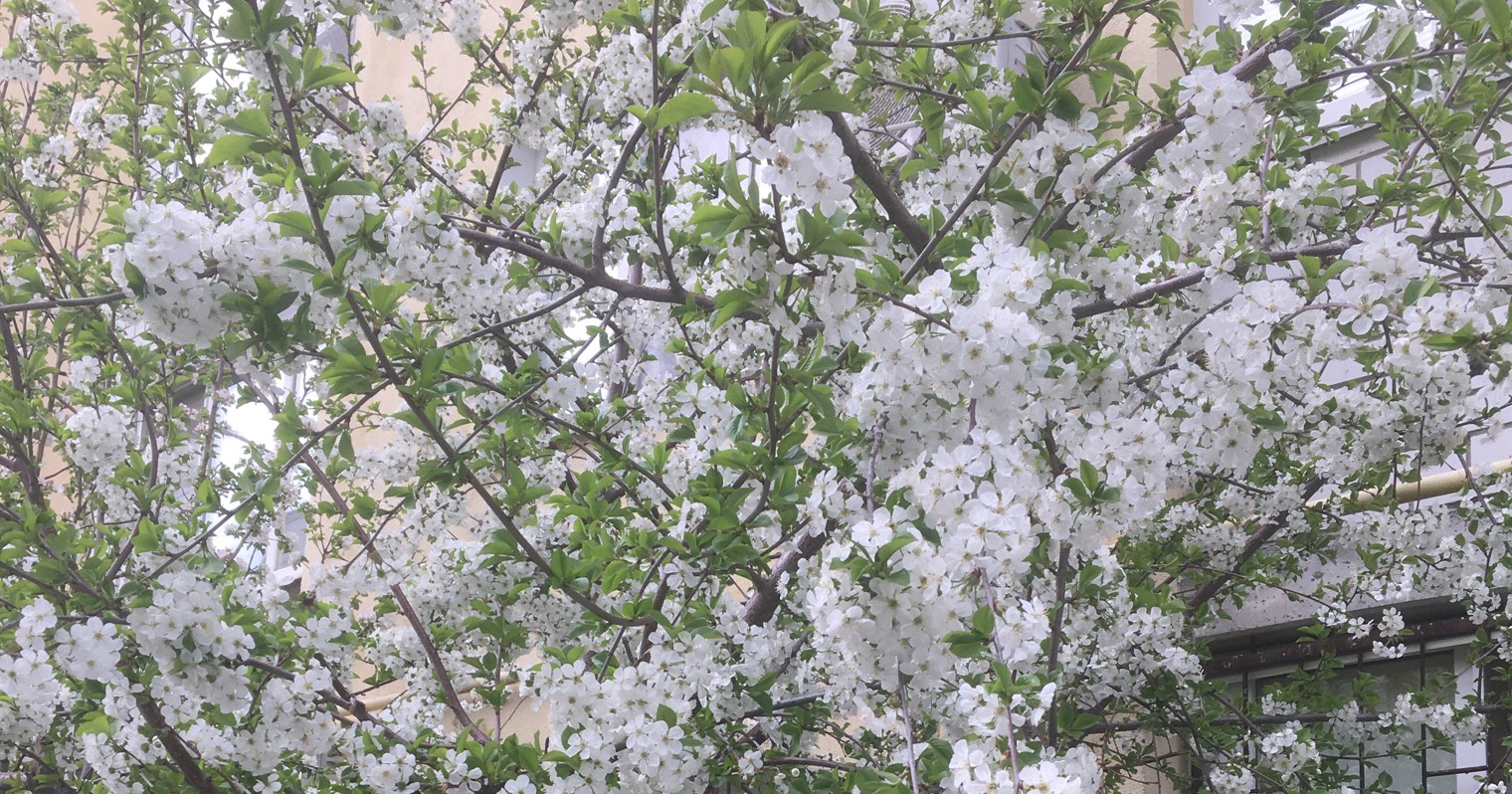 Немного обо всём