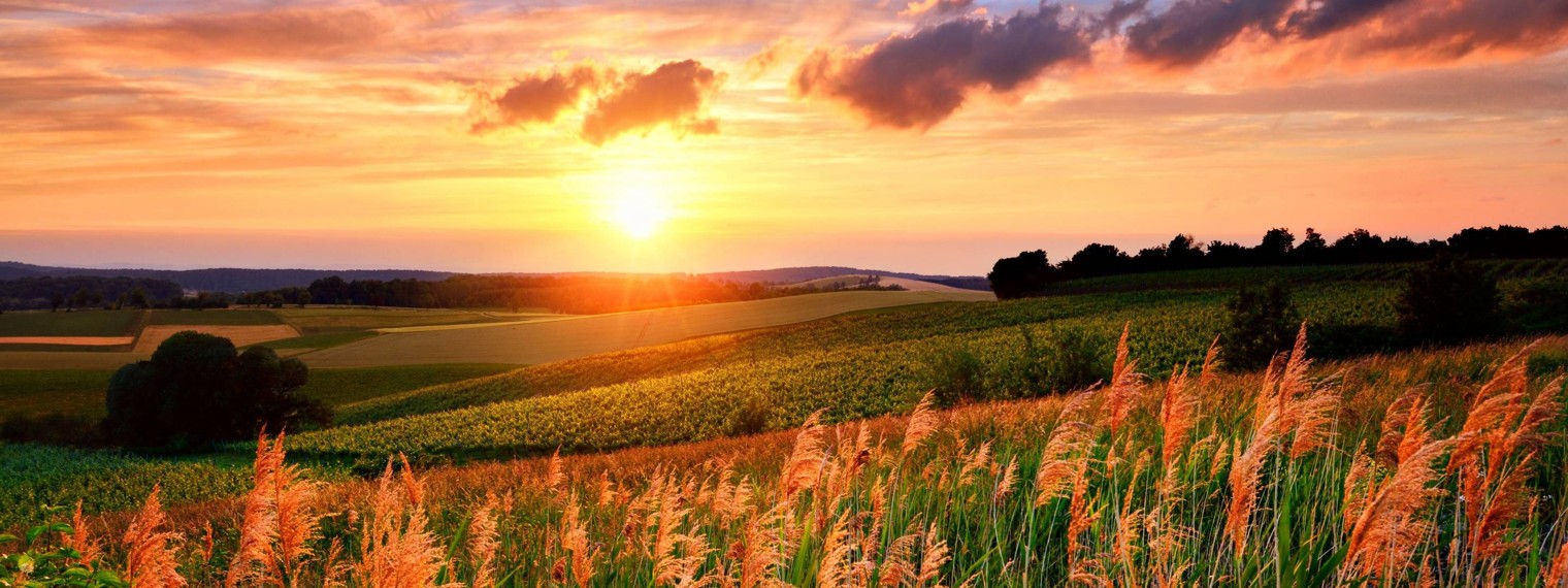 Денис Юдин MСK