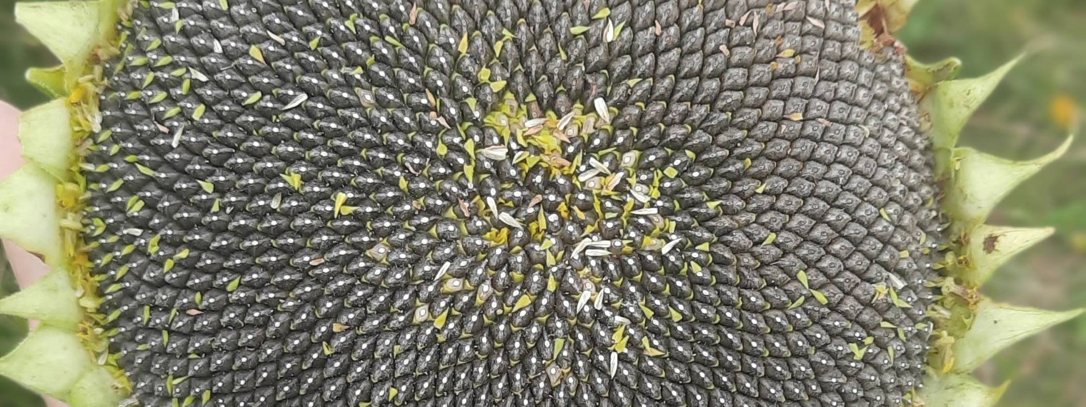 Больше, чем фитнес с Мари