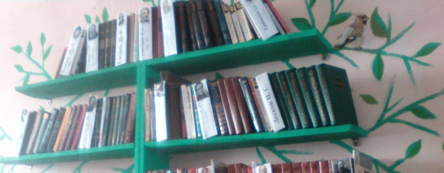 Танзыбейская библиотека №1