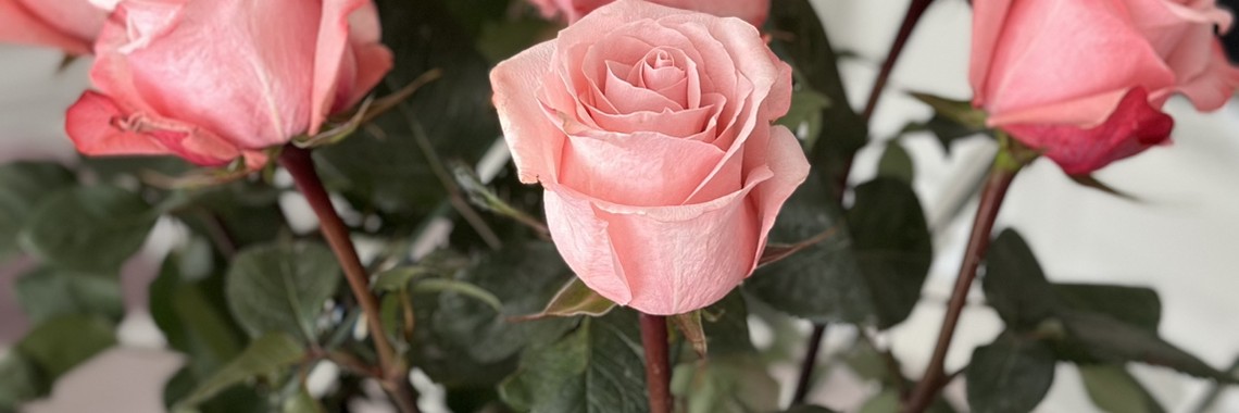 Лидия Крымова