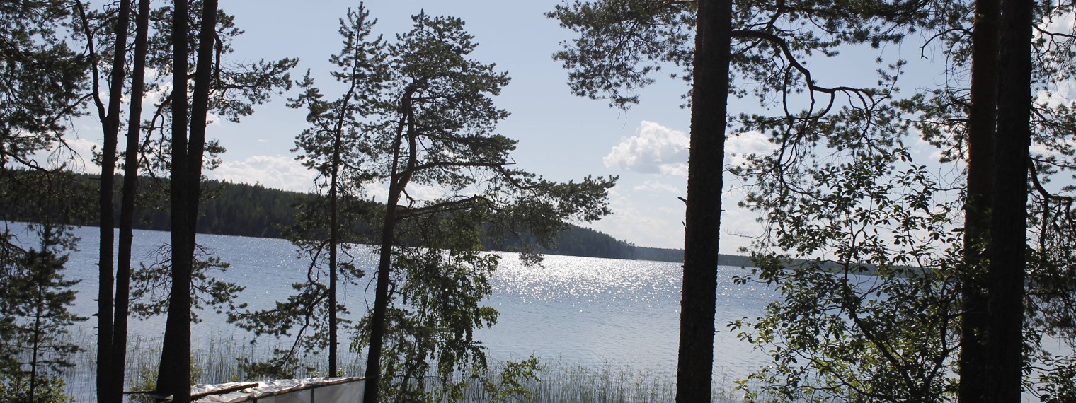 Ленин папа. " Дачный интерес"