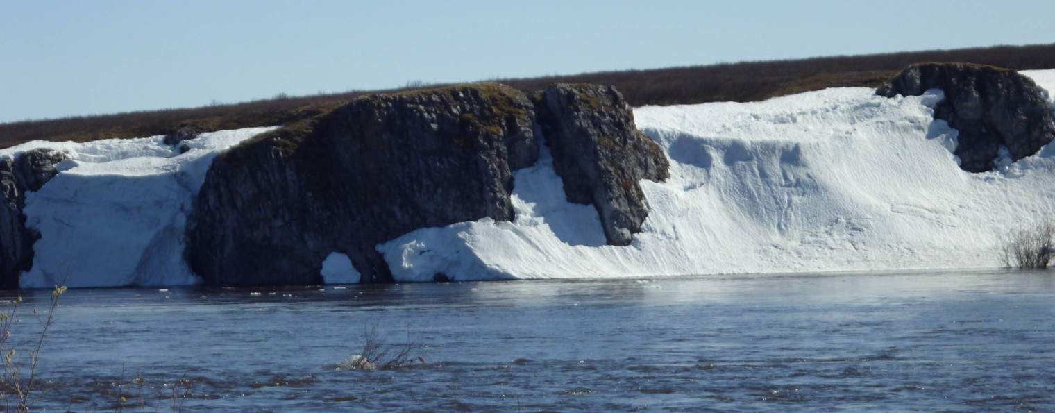Николай Бухтияров
