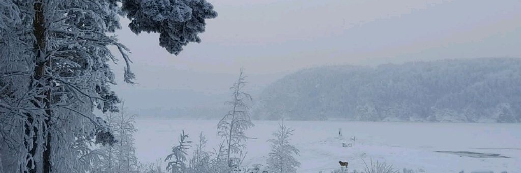 Алексей Сибиряков