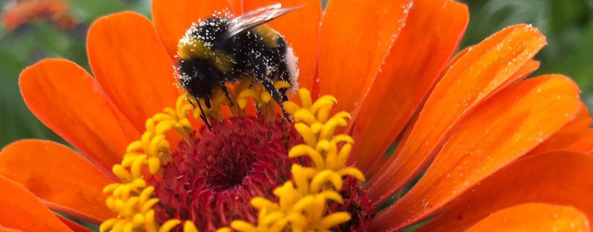 Обо всём интересном понемногу.