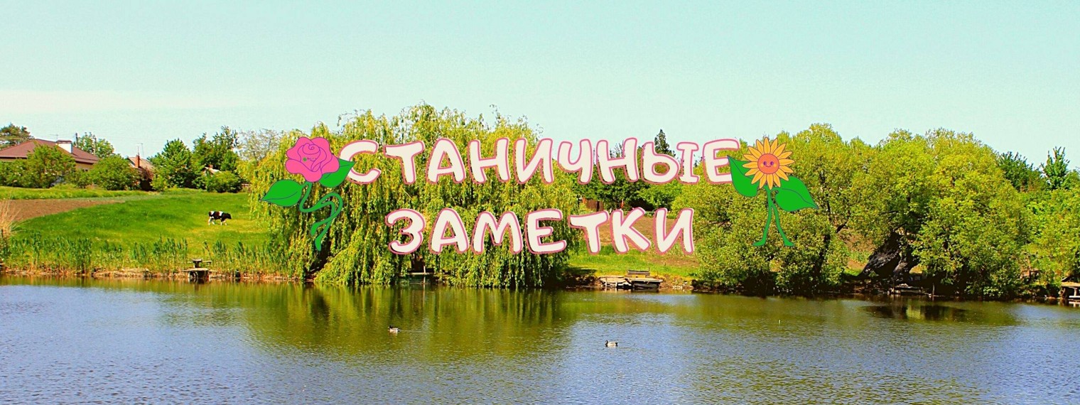 СТАНИЧНЫЕ ЗАМЕТКИ