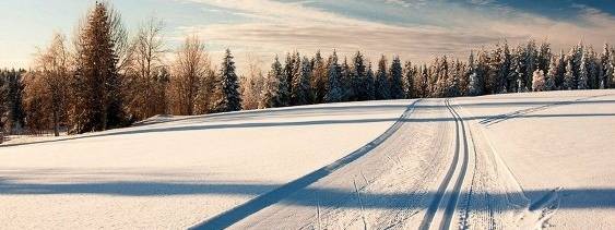 Лыжный клуб Измайлово