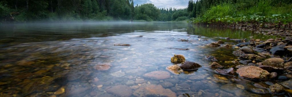 Таёжные Приключения Фёдора