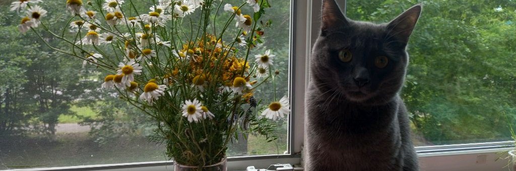 Мухамадеева Зиля