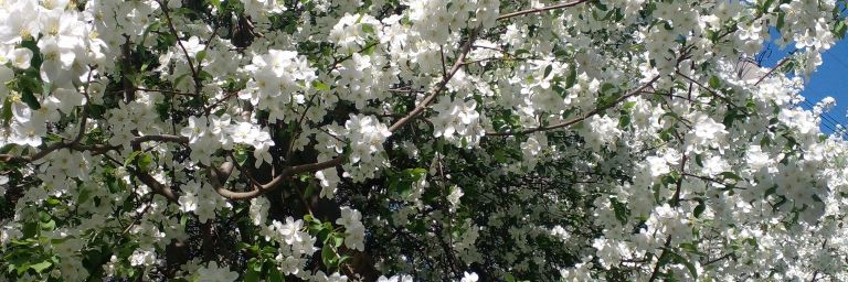 О. Татьяна Сергеевна