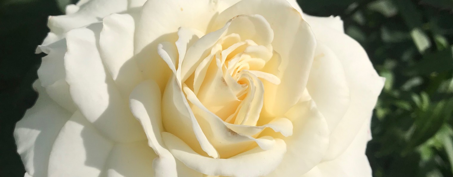 Наталия Кочанова, видеоблог