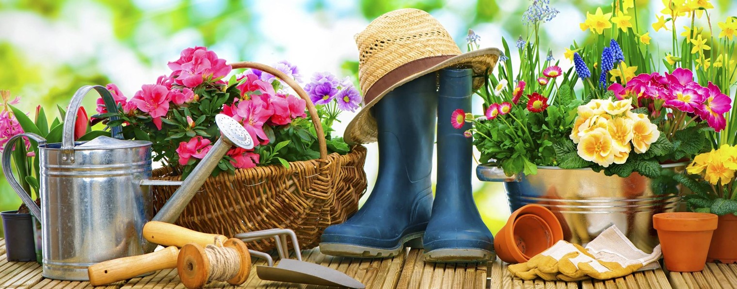 Садовые Идеи