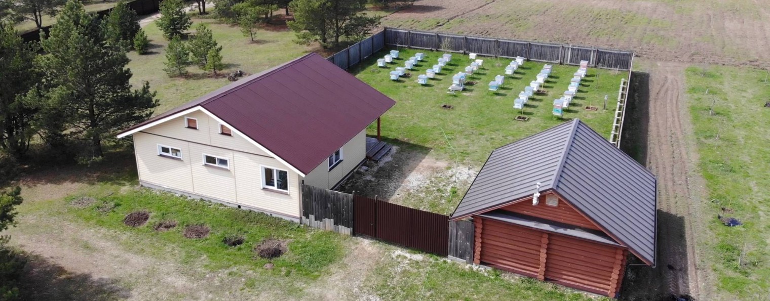 Pereborovobee ПАСЕКА