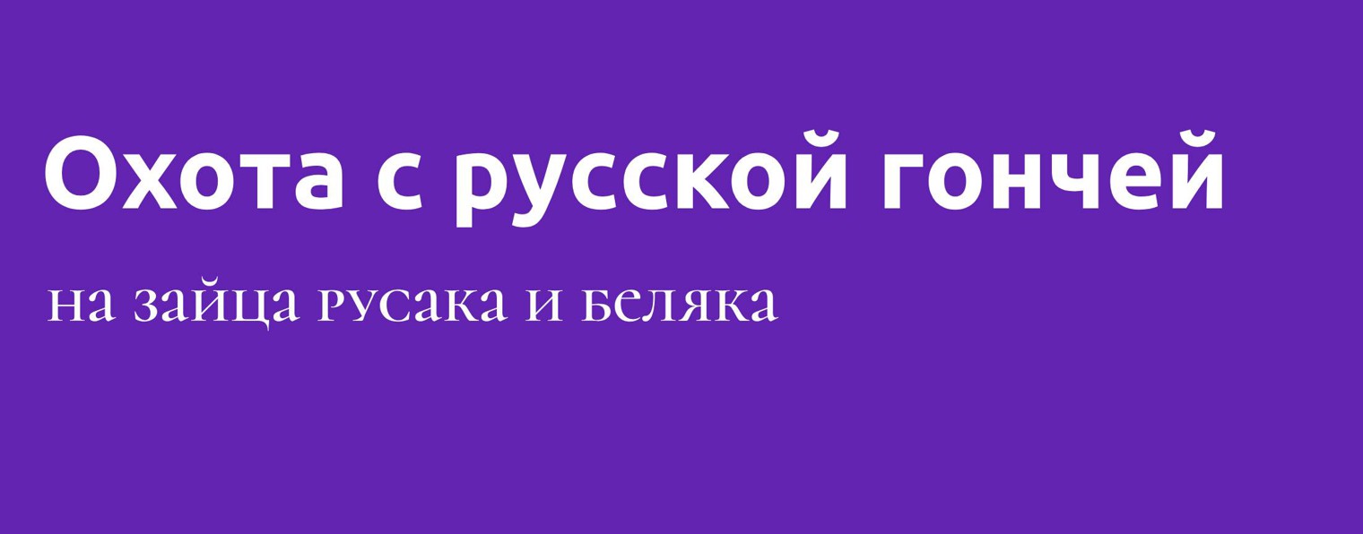 Охота с русской гончей на зайца русака и беляка