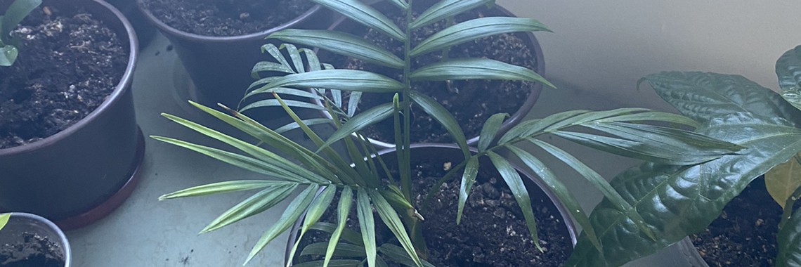 Юлия Бородина влог