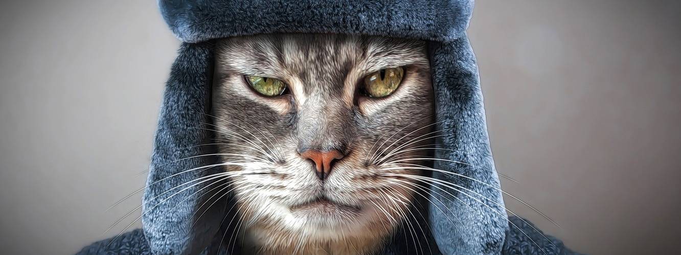 Кошкин Сибиряк