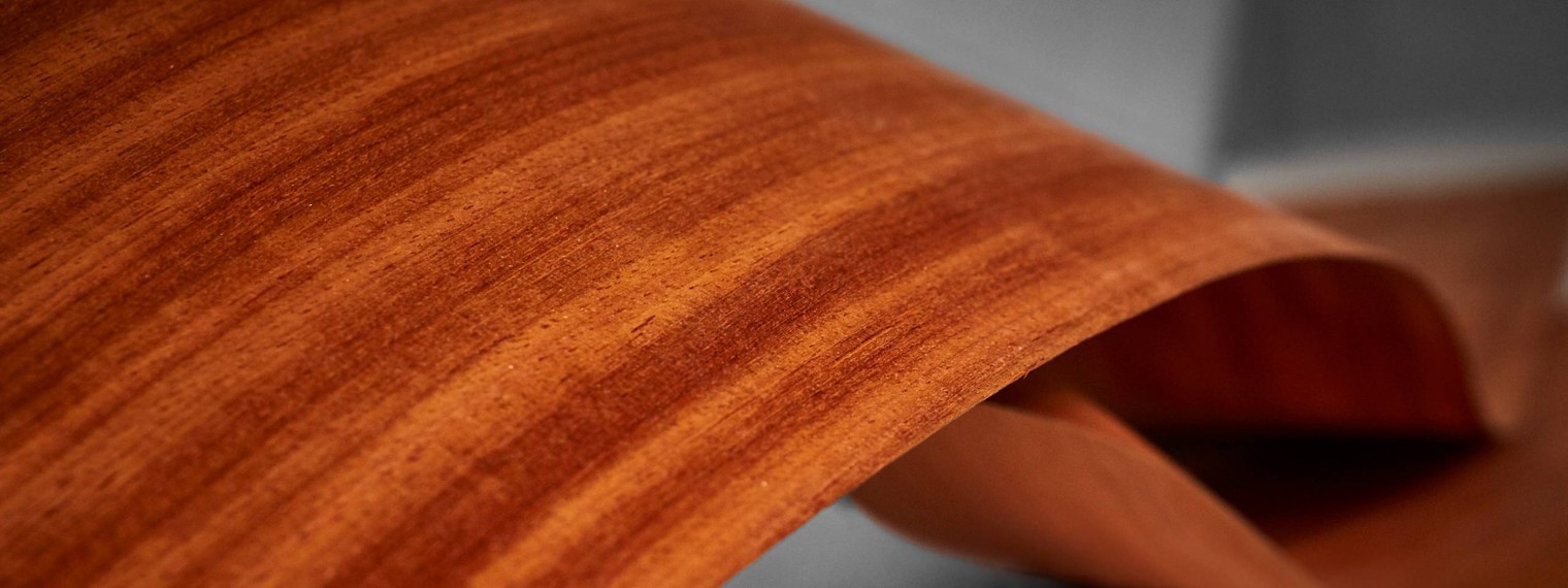 WOODSTOCK. Эксперт по дереву