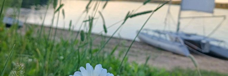 Вяжу и живу.Наталья Смородина.