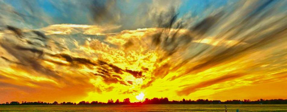 Дом Брестского Аиста