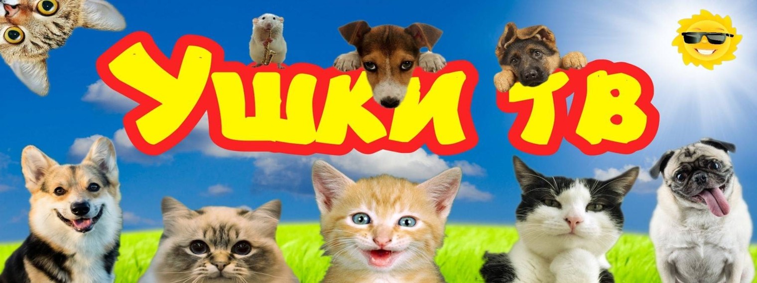 УШКИ ТВ
