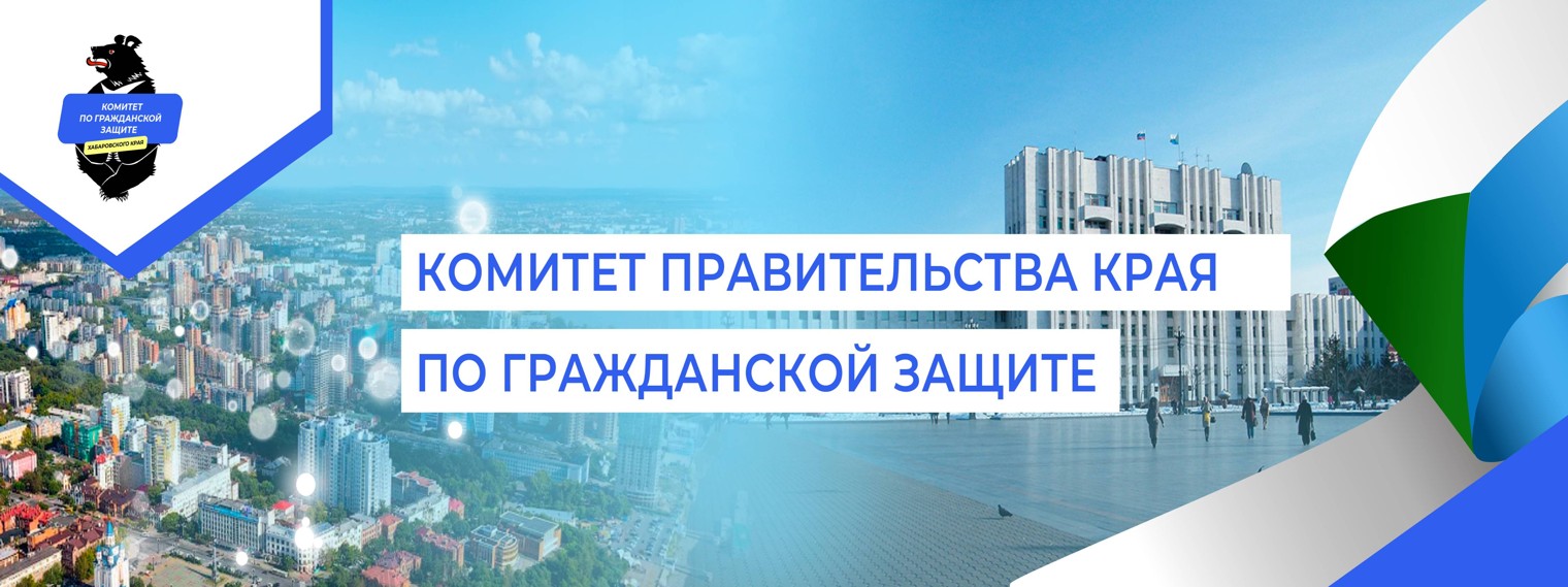 Комитет Правительства Хабаровского края по ГЗ