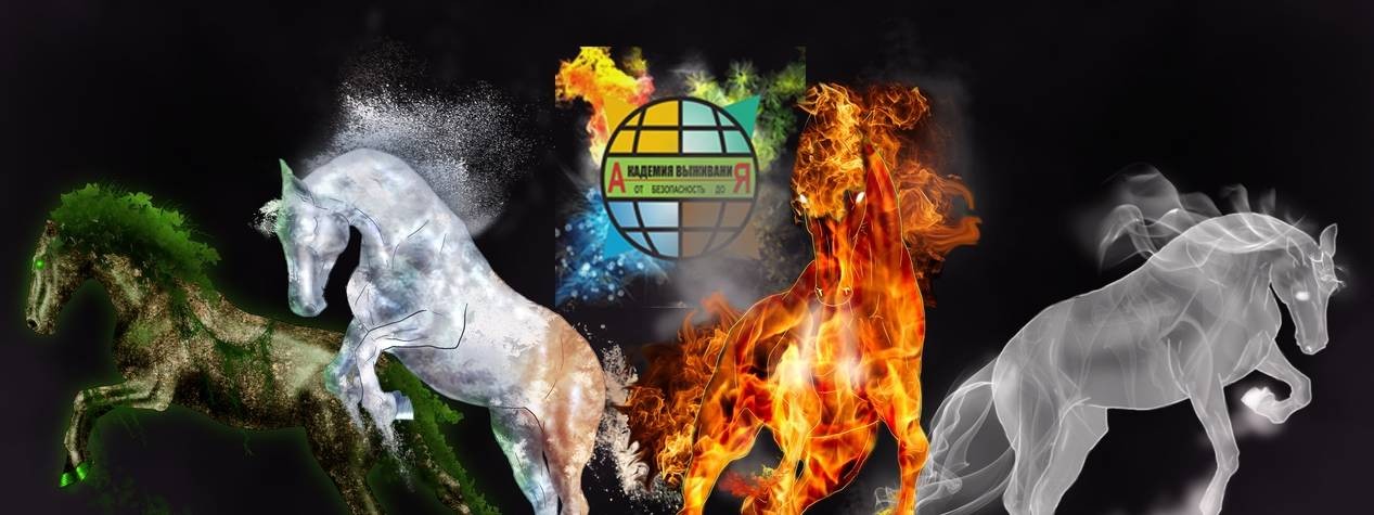 Академия выживаниЯ