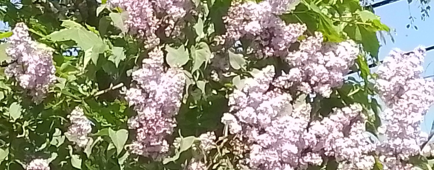 Психолог из ЗаМКАДья