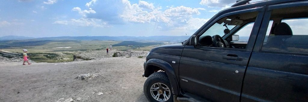 Бурый Дневник