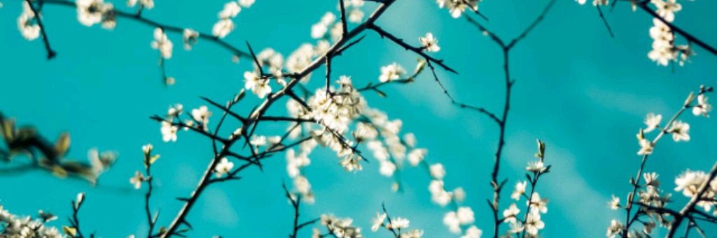 Екатерина Аракелян