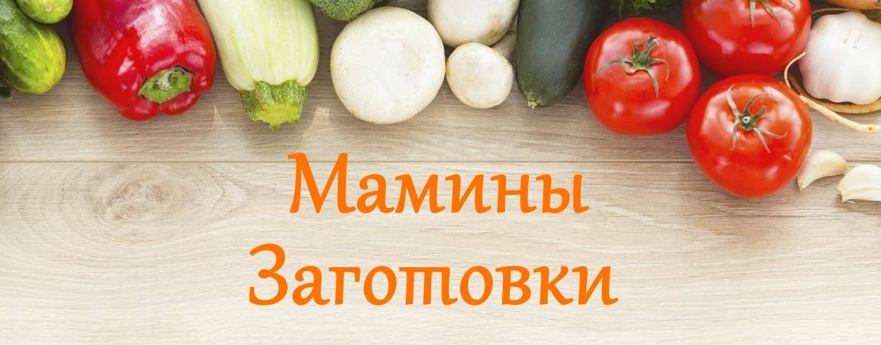 Елена Шохина